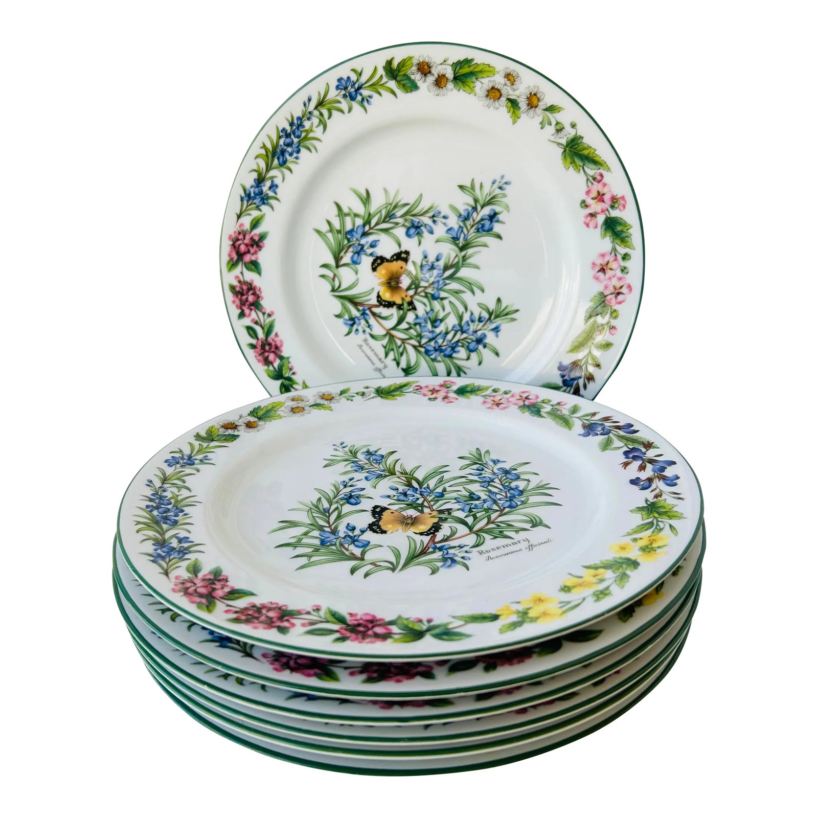 1990's Royal Worcester Rosemary Pattern Dinner Plates Set of 7 | Chairish