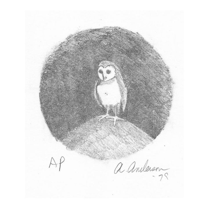 1979 Adrienne Anderson Owl Lithograph | Chairish