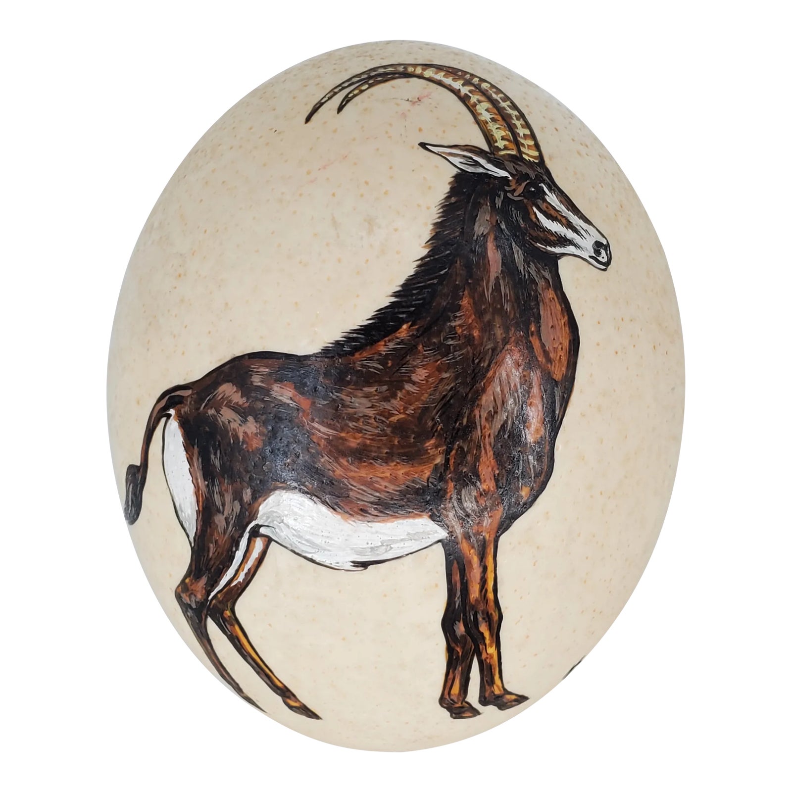 Mid 20th Century Ostrich Egg Hand Painted Sable Antelope on Real ...