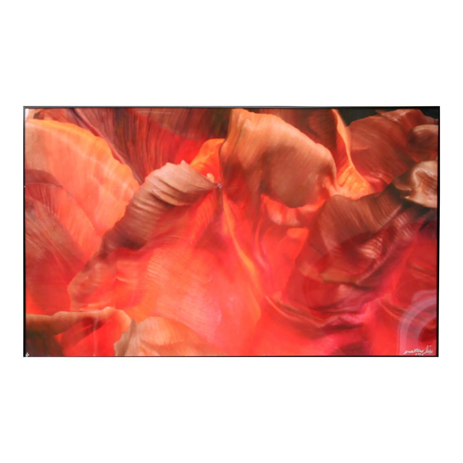 Close Study of Red and Orange Flower, Jonathan Singer, Photography ...