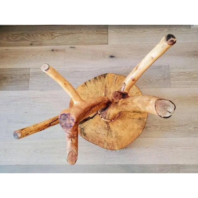 Natural Live Edge Tree Slice Inlaid Side Table With Root Base - Signed ...