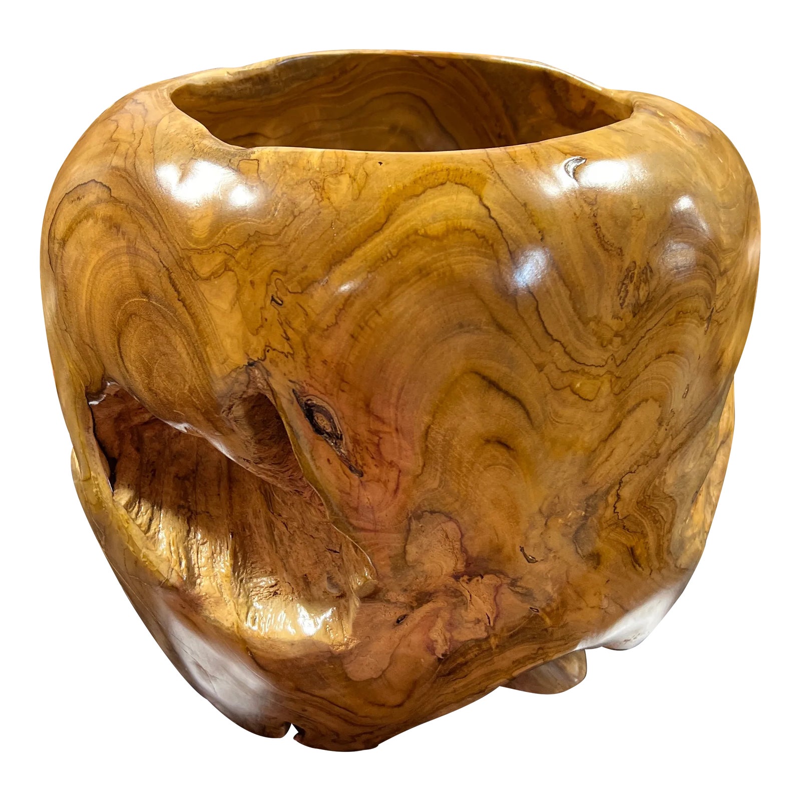 Natural Teak Root Planter | Chairish
