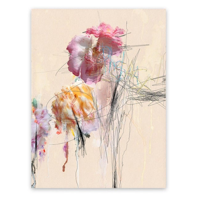 Contemporary Abstract Digital C-Type Print on Kodak Endura Photo Paper ...