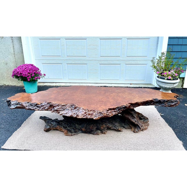 1970s Redwood Burl Coffee Table with Root Base | Chairish