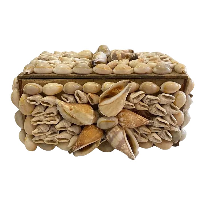 Vintage Sea Shell Jewelry Trinket Box | Chairish