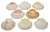 French Mediterranean Scallop Shells - Set of 8 | Chairish