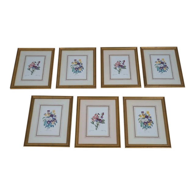 Set of 7 Gold Framed Botanical Prints | Chairish