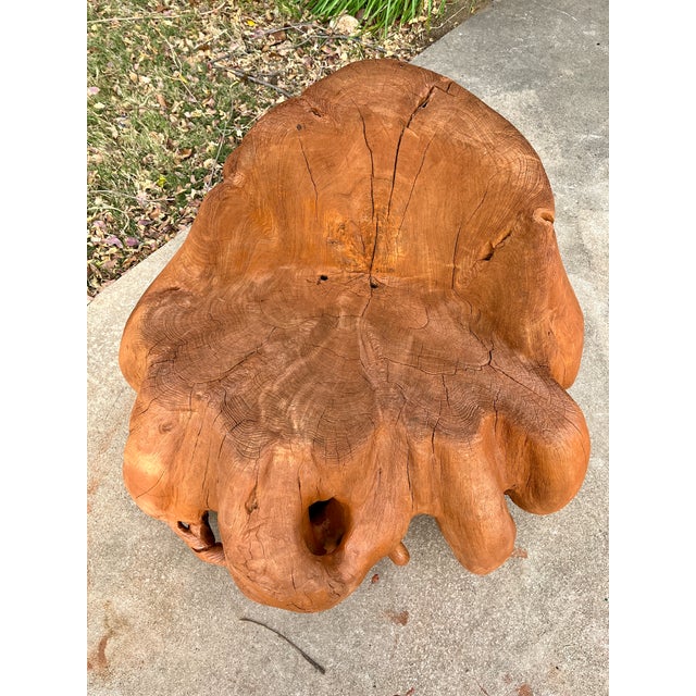 Rustic Teak Root Chair | Chairish