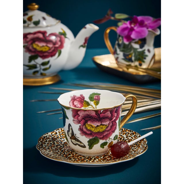 Spode Creatures Of Curiosity Tea Cup & Saucer Coupe, 7 oz. - Leopard ...