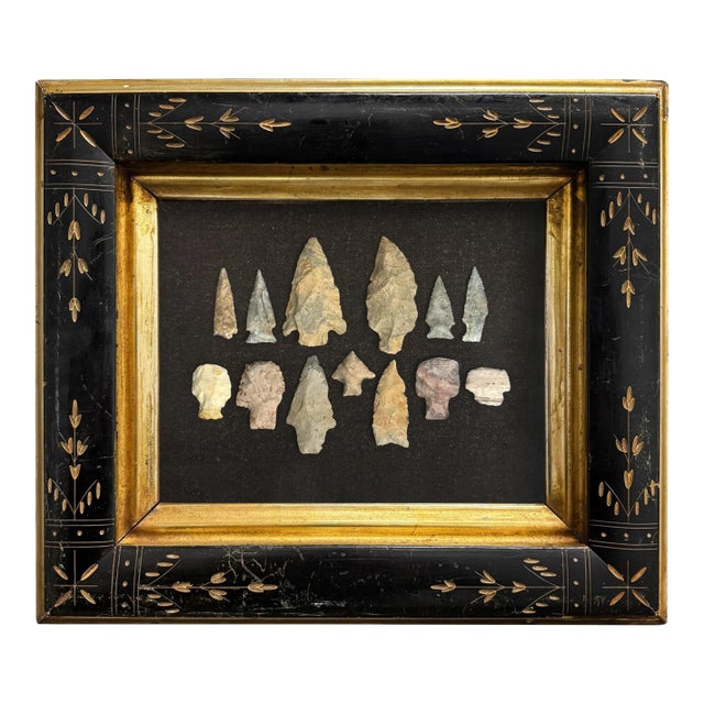 Framed Collection of Thirteen Native American Arrowheads | Chairish