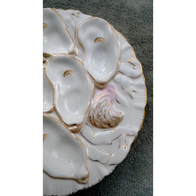 1888 Antique Continental Pink Turkey Oyster Plate, Gilman Collamore ...