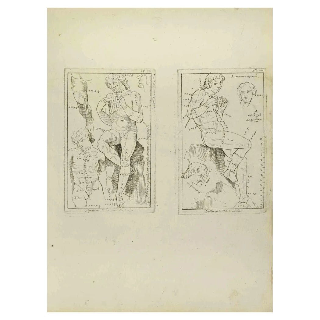Jean François Poletnich, Apollon, Etching, 18th Century | Chairish