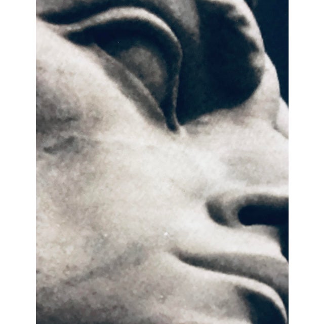 James White Statuary at the Stadio Dei Marmi, Rome Photograph | Chairish