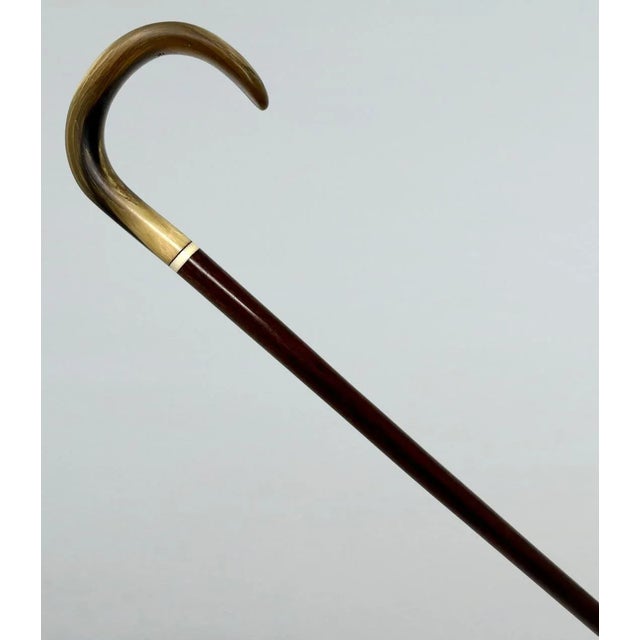 Antique Vintage Lady's Gentleman's Snakewood Wooden Walking Stick Dress ...