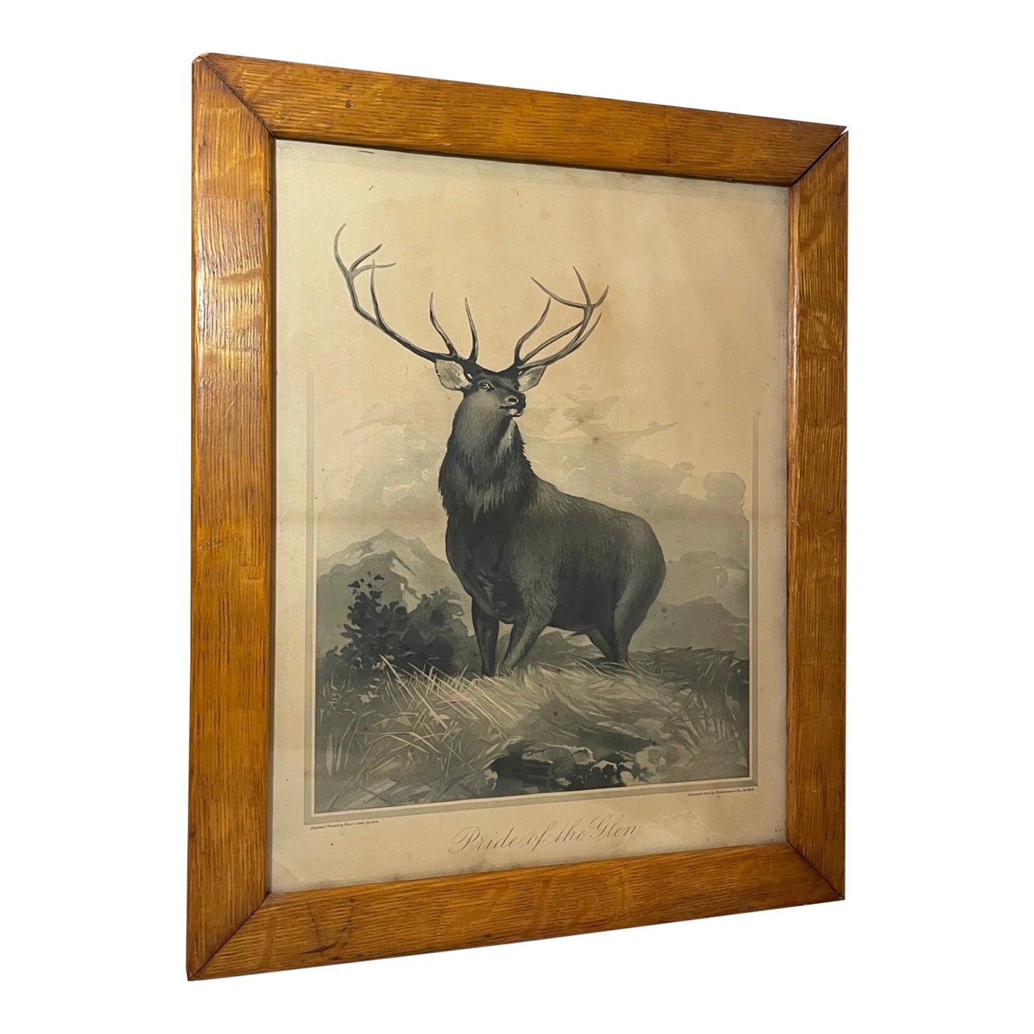 Rare Antique 1894 Wand and Noble Pride of the Glen Moose Elk Engraving ...