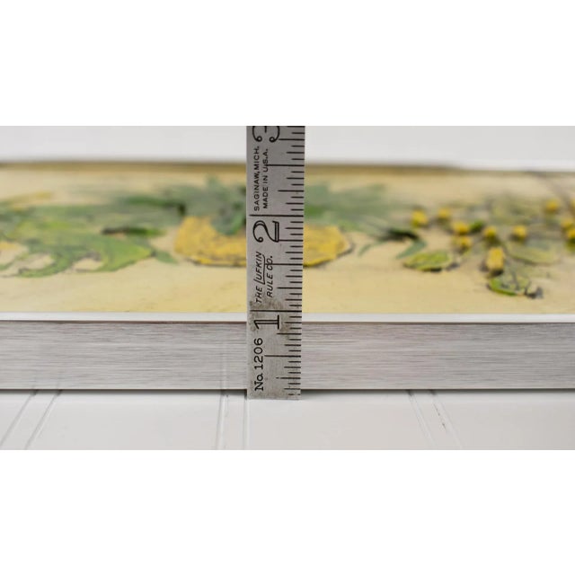 1975 Nancy Potter Contemporary Signed Textural Still Life Painting of ...