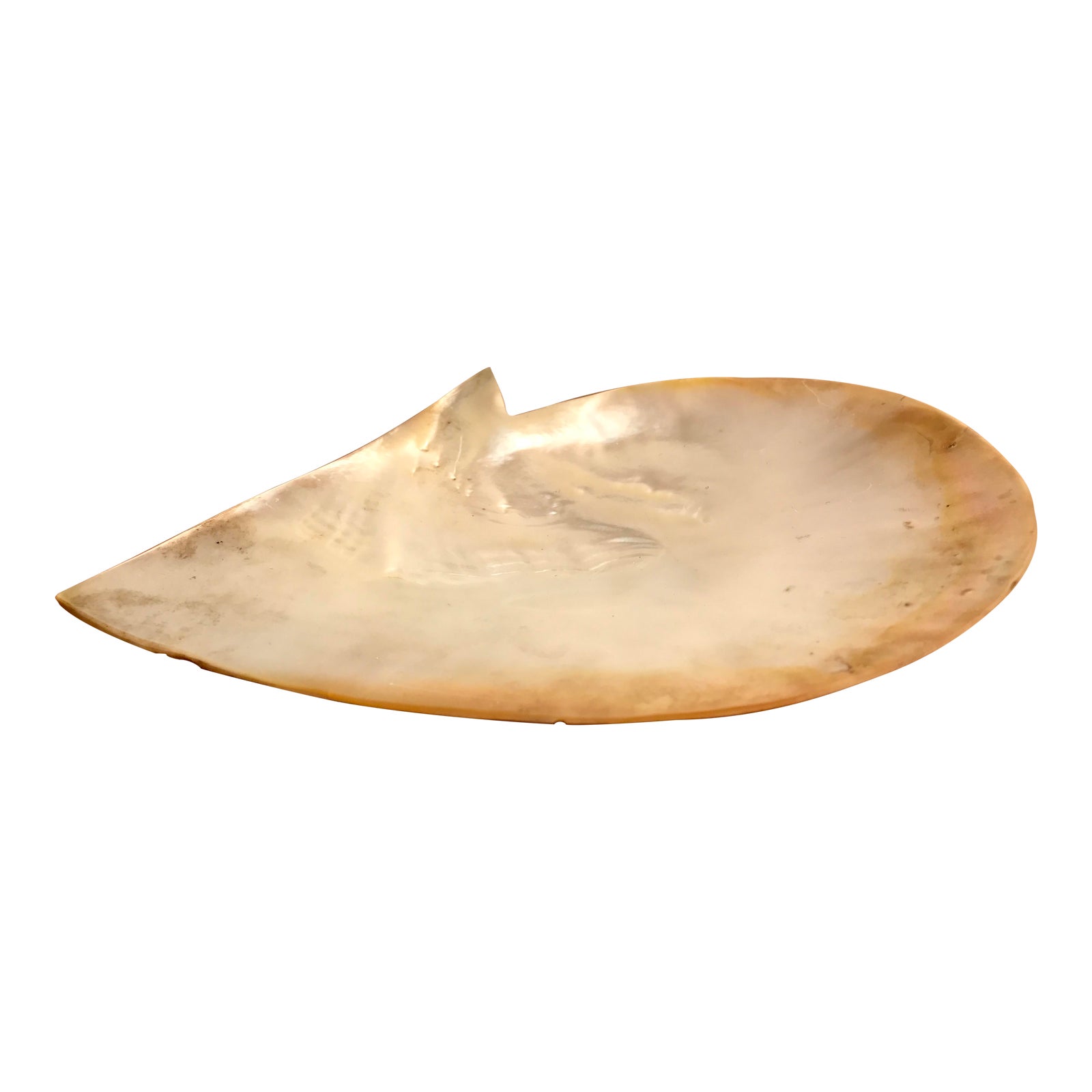 Pearl Shell Trinket Tray | Chairish