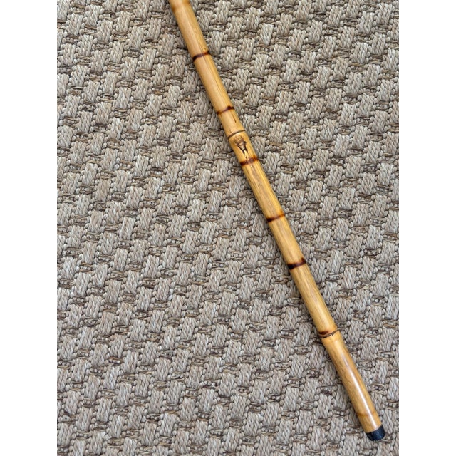 1920s Bamboo Bentwood Cane Walking Stick | Chairish