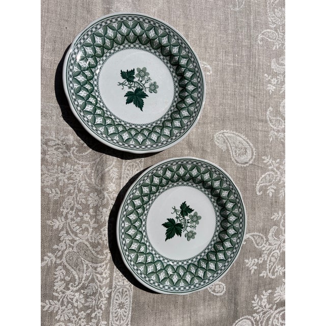 2000s Spode Set of 2 Green Geranium Plates | Chairish