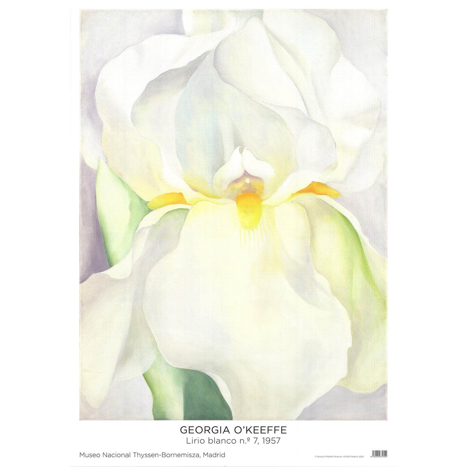 2022 Georgia O'keeffe White Lily Lithograph Poster | Chairish