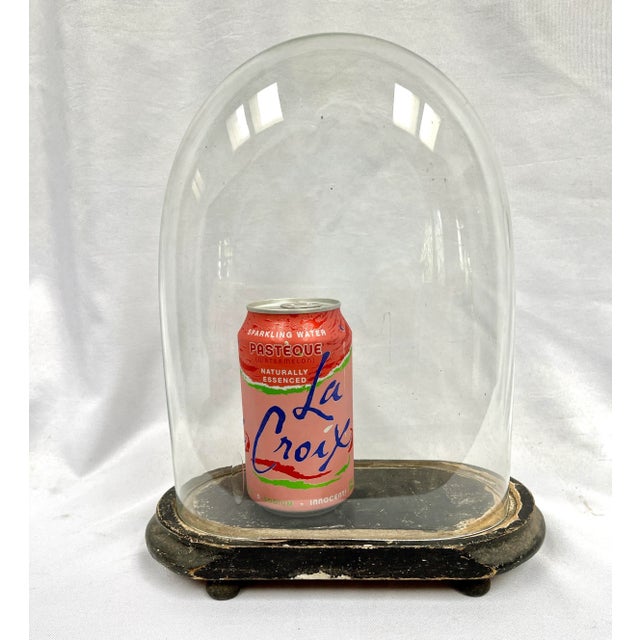 Late 1800s French Cloche on Oval Wood Footed Stand | Chairish