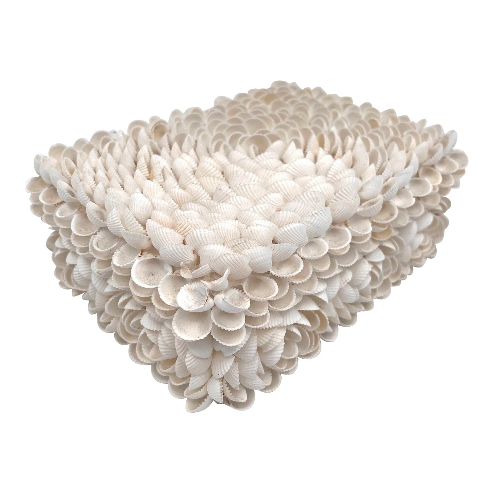 Late 20th Century Vintage White Scallop Shell Rosette Covered Box ...