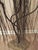 Abstract Willow Tree Welded Metal Sculpture | Chairish