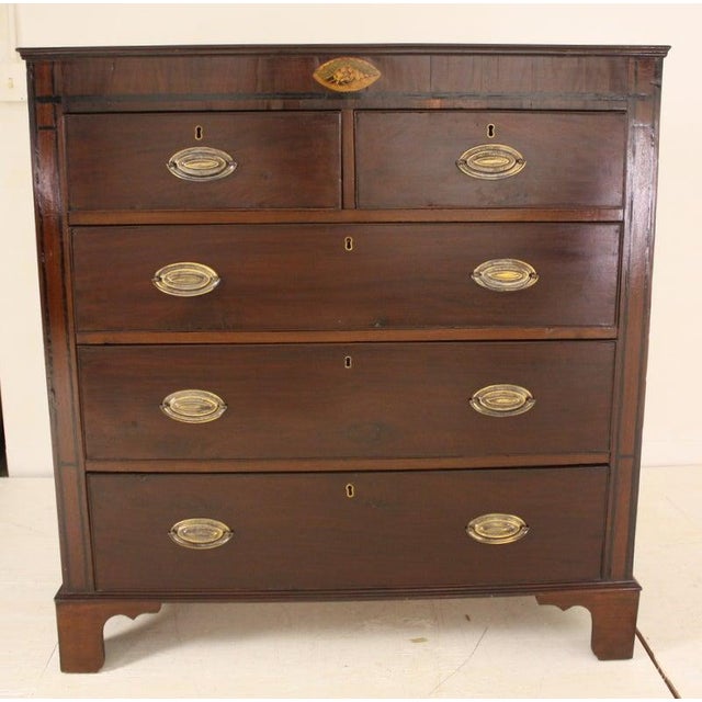 Antique English Mahogany & Shell Inlay Chest with Ebony Stringing ...