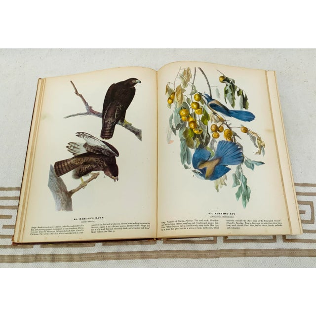 Audubon Bird Book,1944 Edition | Chairish