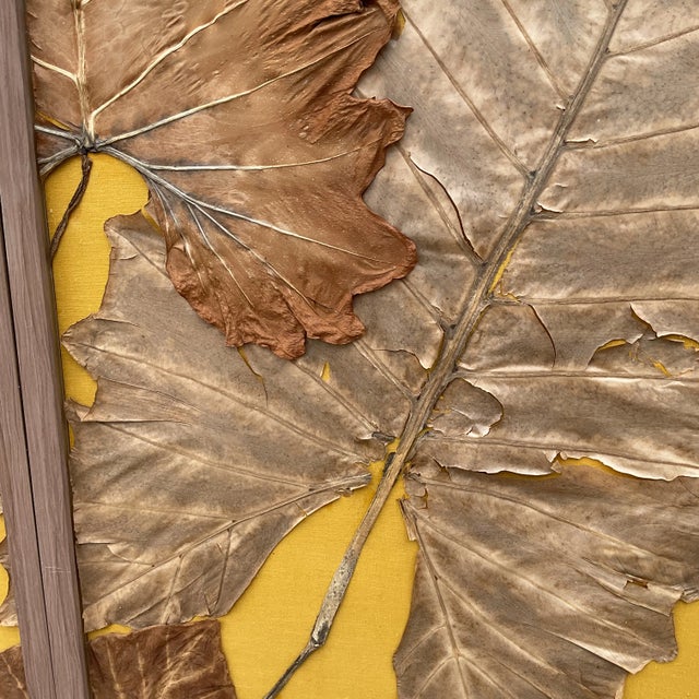 Vintage Boho Monumental Dried Leaves Triptych | Chairish