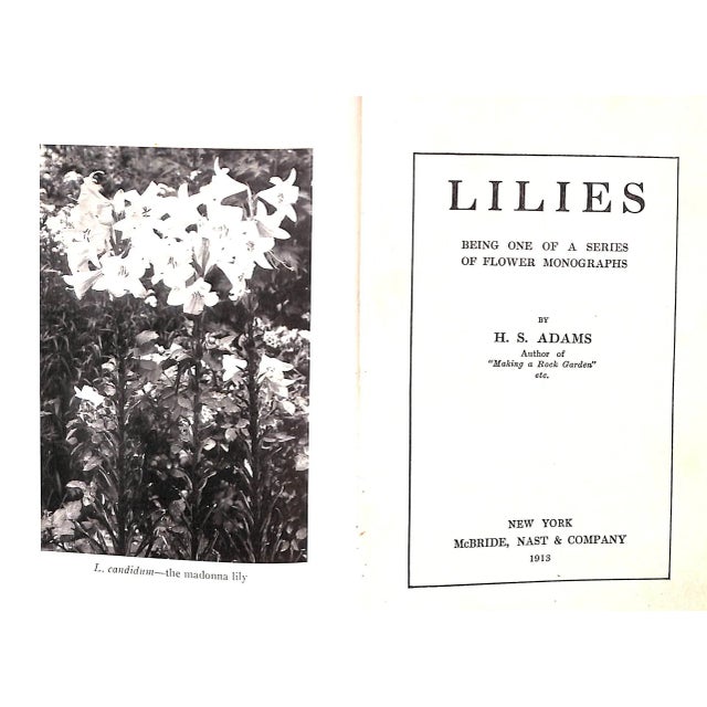 "Lilies" Book 1913 Adams, h.s. | Chairish