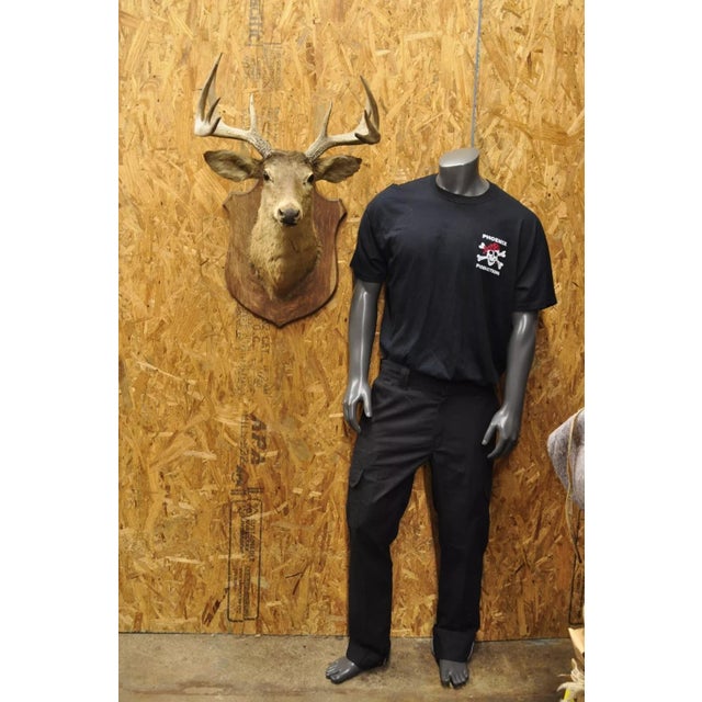 Vintage Red Deer Shoulder Mount Antler Horn Rack Taxidermy Cabin Wall ...