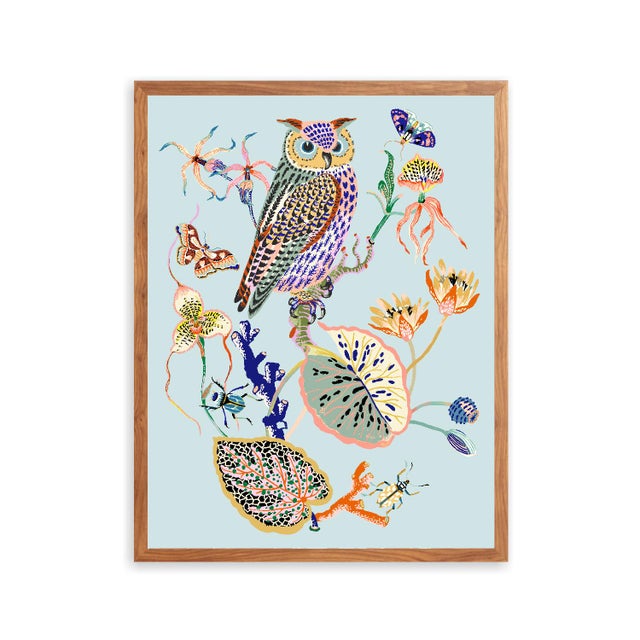 Wondergarden Owl Limited Edition Giclee Print by Sarah Gordon | Chairish