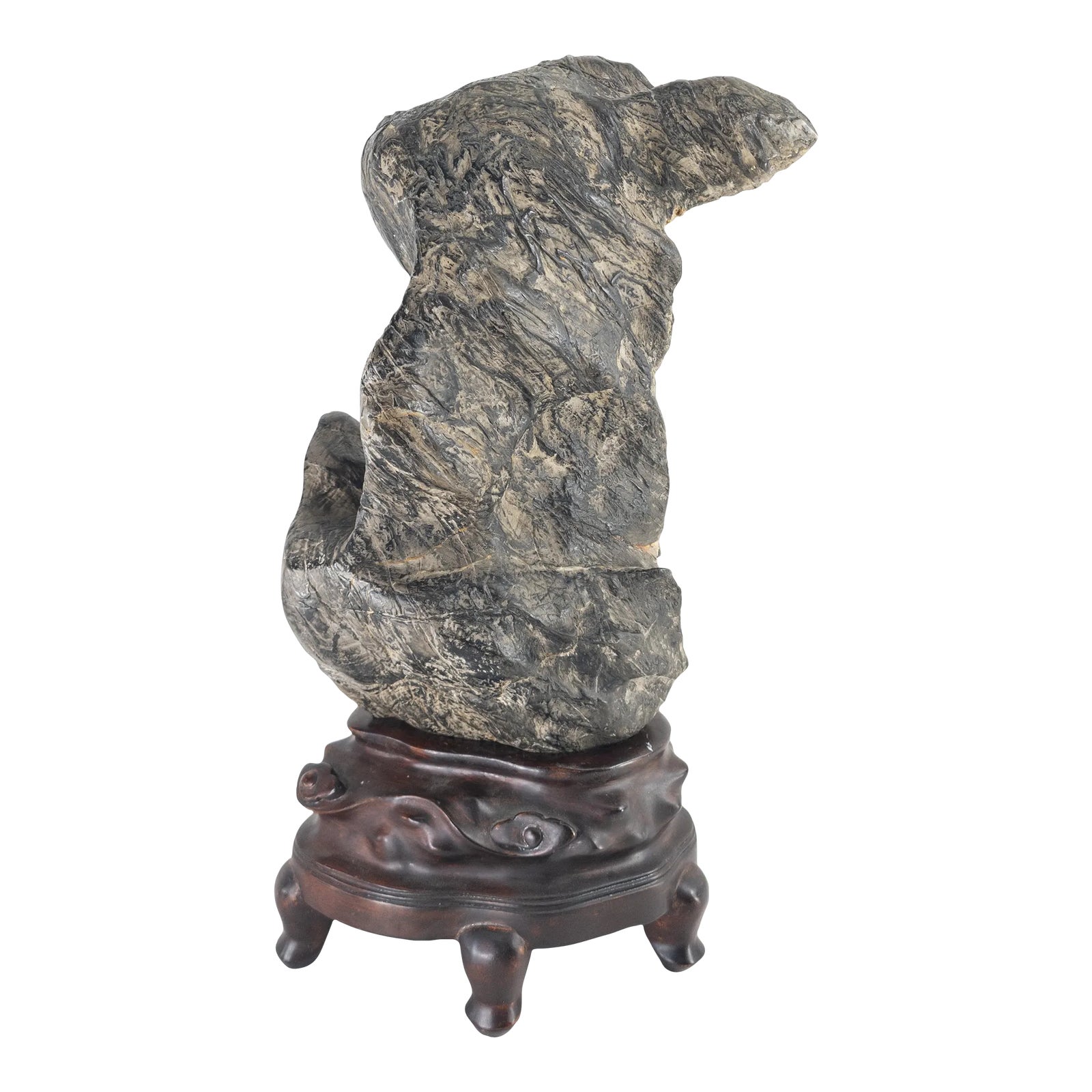 19th Century Chinese Decorative Scholar's Rock Stone on Wood Base ...