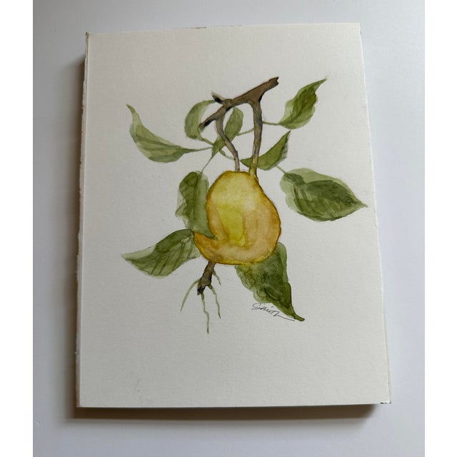 Nancy Smith Original Watercolor Painting | Chairish