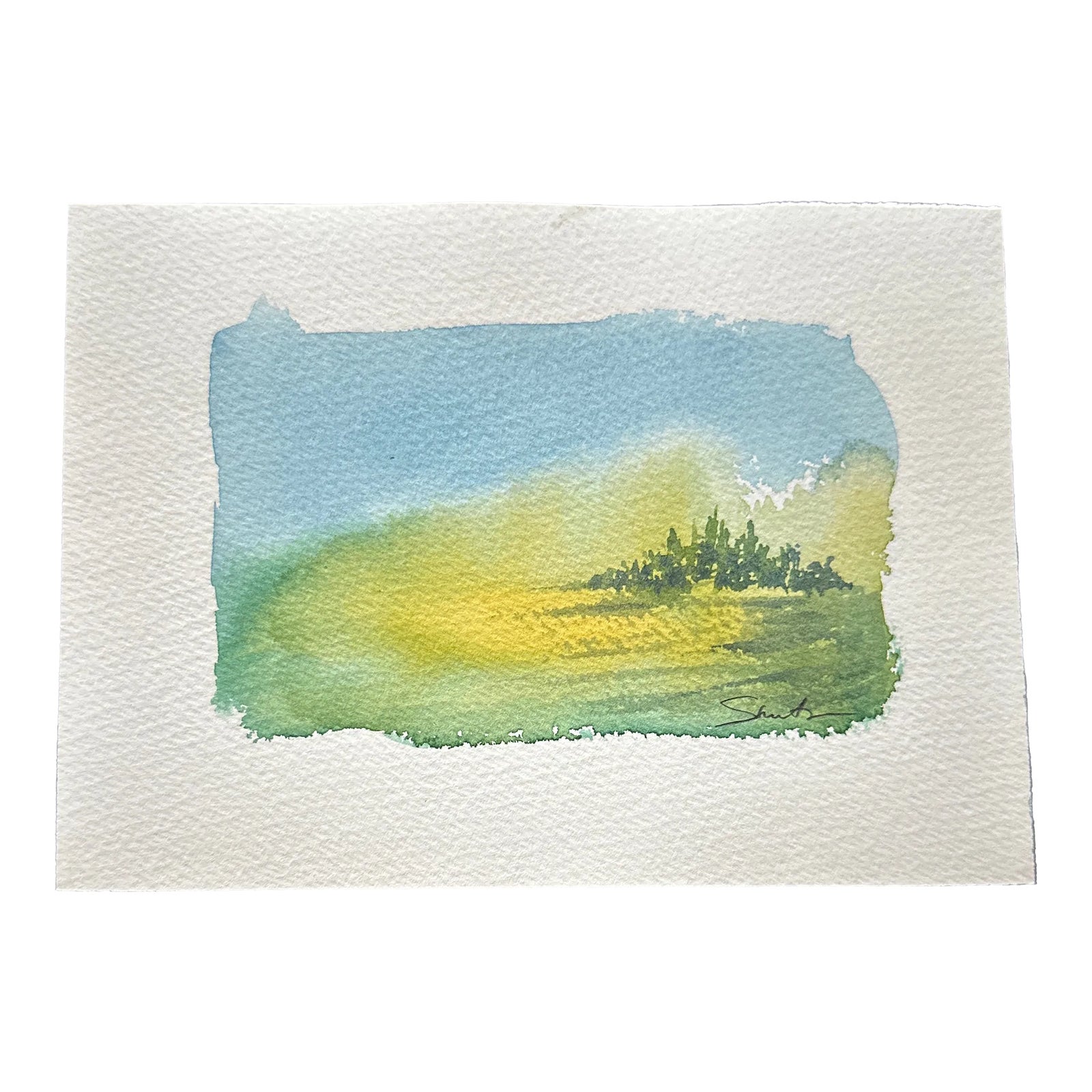 Original Watercolor Landscape “Spring Vignette” | Chairish