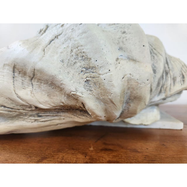 Large Vintage Coastal Gypsum Sculptural Clam Sea Shell Decorative Bowl ...