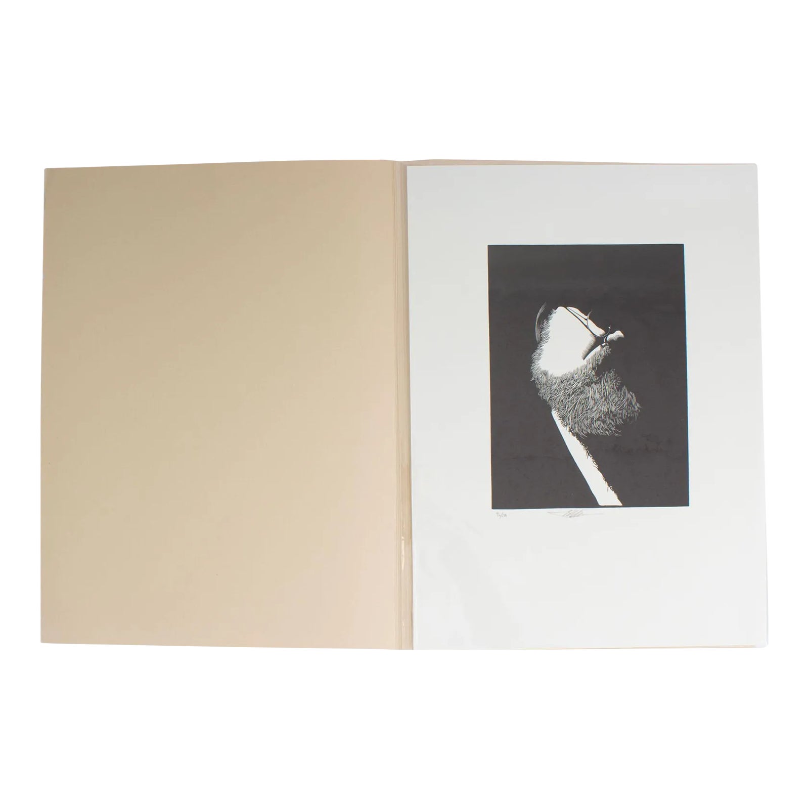 Limited Edition Wood Engraving by Barry Moser | Chairish