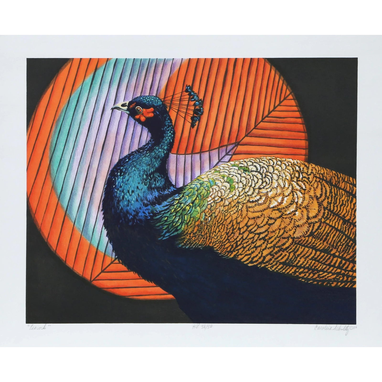 Peacock, Caroline Schultz Lithograph | Chairish