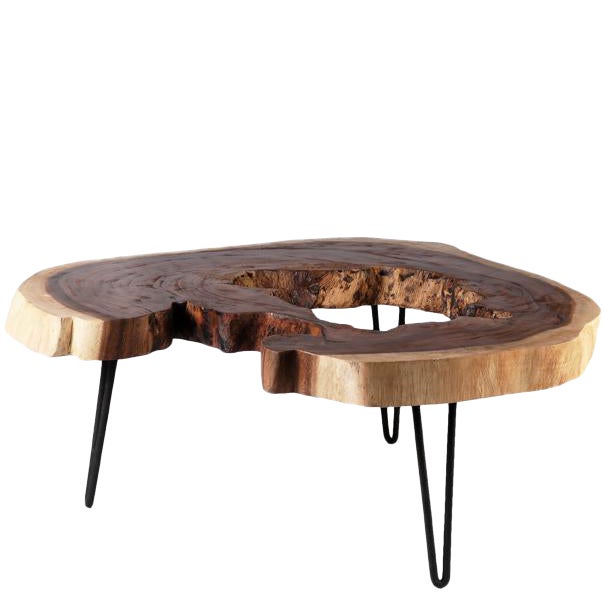Organic Modern Lake Living Edge Coffee Table | Chairish