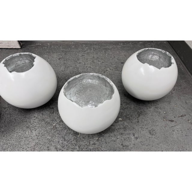 Phillips Collection Broken Egg Shell Art Work | Chairish