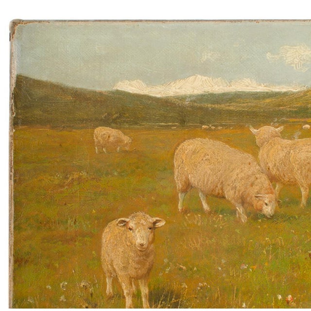 Claude Lorraine Clark (British, 1864 - 1937) Sheep in Pasture Oil ...