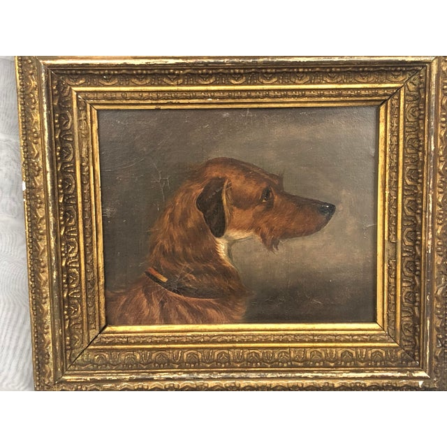 Original Oil Painting Dog Portrait by Edwin Loder, 19th Century British ...