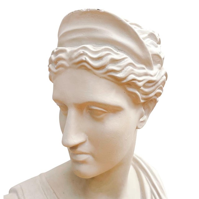 1980s Plaster Bust of Goddess Diana of Versailles | Chairish