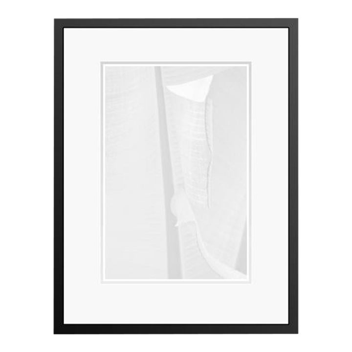 White Leaf by Stuart Möller Framed | Chairish