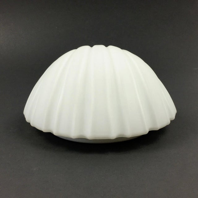 Minimalist Opaline Glass Shell-Shaped Wall Lights/Sconces From Limburg ...
