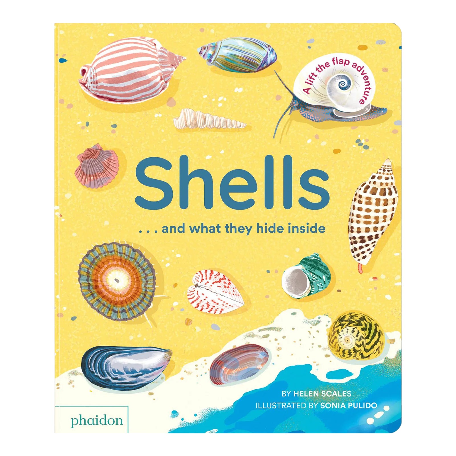 Shells... And What They Hide Inside Book | Chairish
