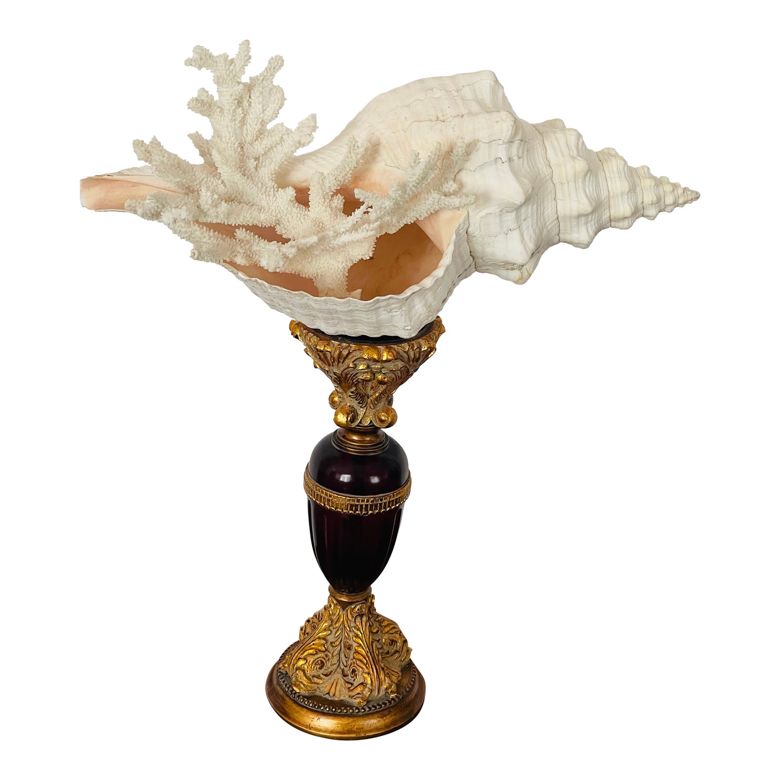 1960s Impressive Spiral Sea Shell On. Pricket Stand Assemblage | Chairish