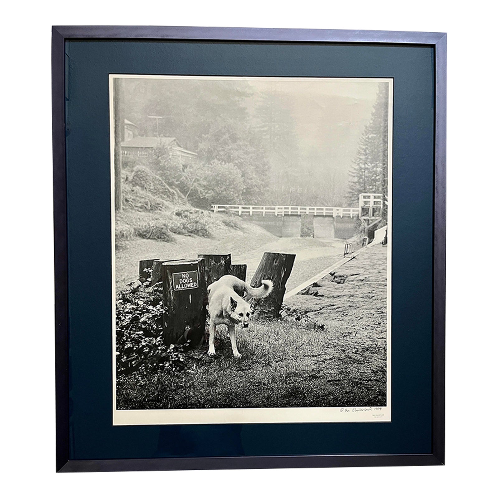 1994 Ron Chamberlain Hand Signed and Dated Poster, Framed | Chairish