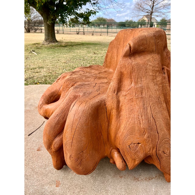 Rustic Teak Root Chair | Chairish